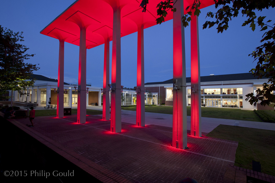 Queue 'Portfolio-Hand of Man' | Philip Gould Photography